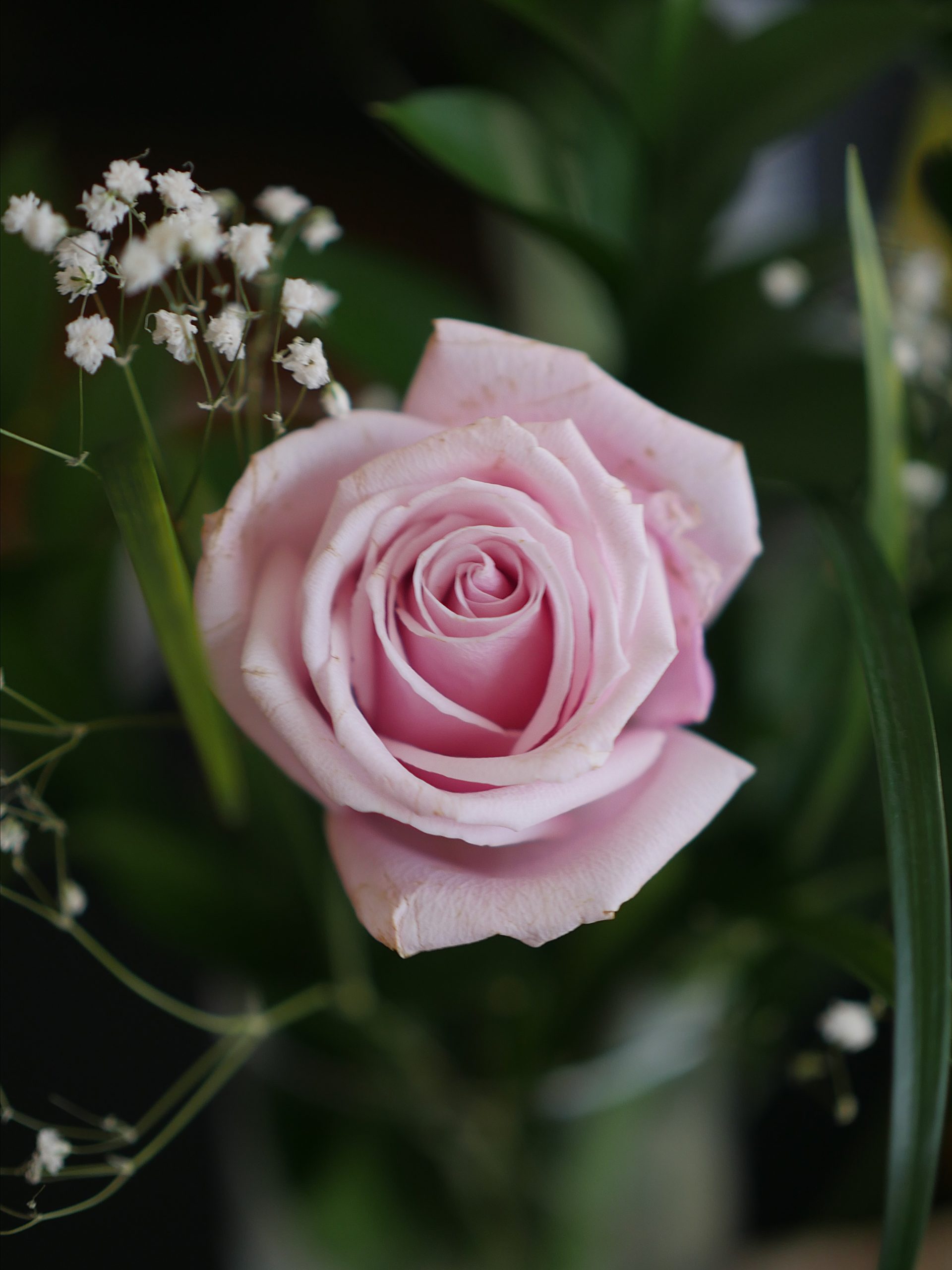 Old Photos – Jan and July, 2021 – Gerald Liu